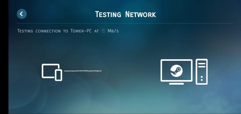 How to Set up the Steam Link App to Work over the Internet – Big Boss ...
